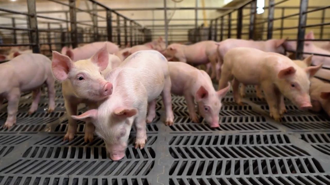 Join Our Team | The Hanor Company