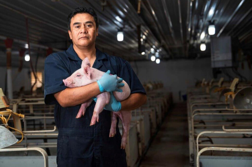 TN Visa Program | The Hanor Company